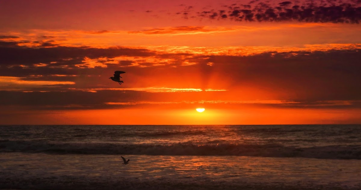 Atrapados por la Imagen: el alba