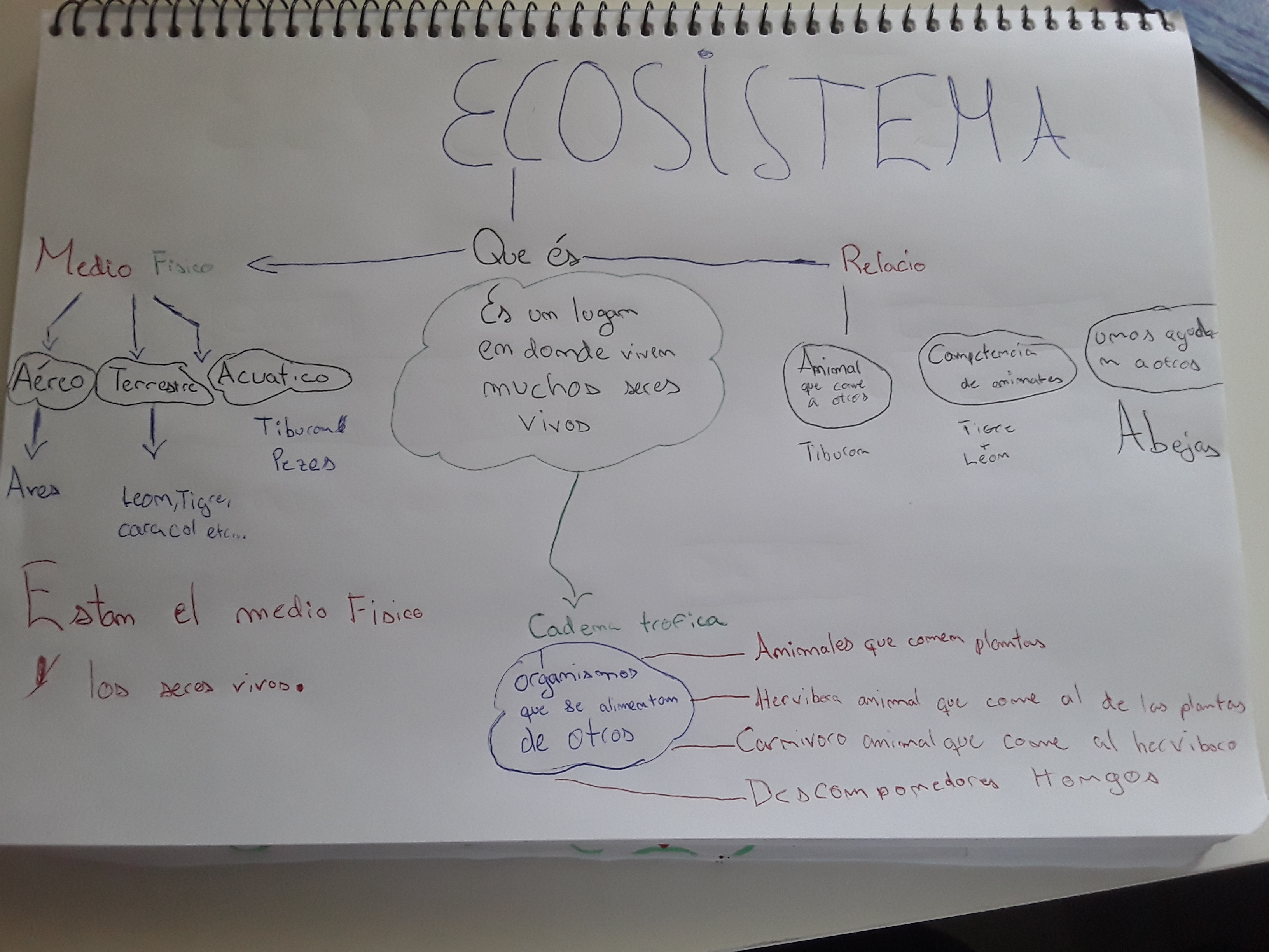 Esquemas de "Qué es un ecosistema"