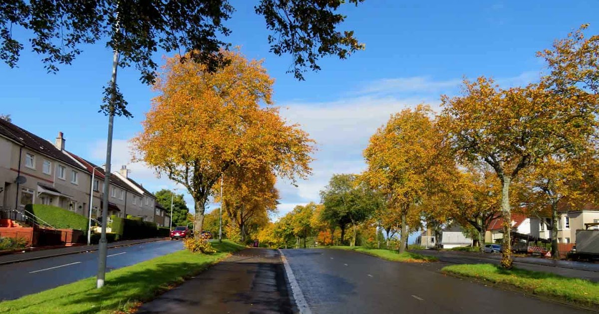 Alex and Bob`s Blue Sky Scotland: Pollok Revisited. Tales from the ...