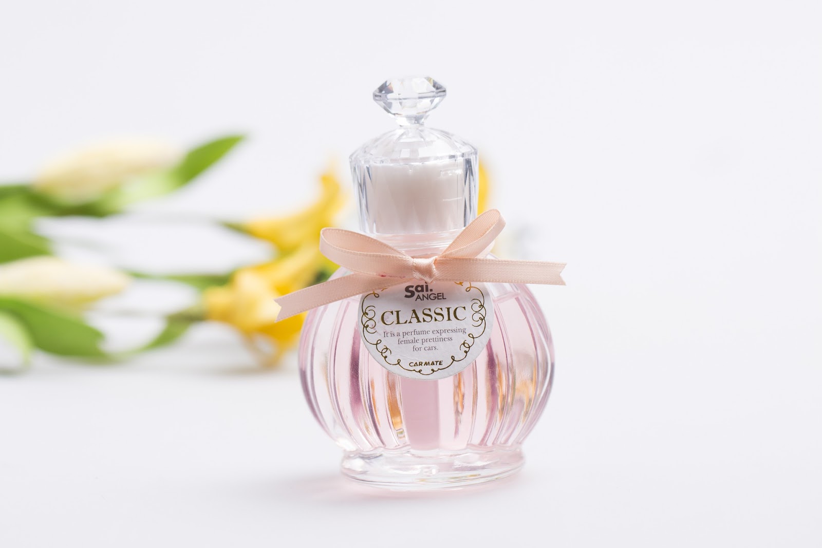 Lovely Christmas Gift Ideas For Your Girlfriend - Vestellite Lovely Christmas Gift Ideas For Your Girlfriend - Vestellite