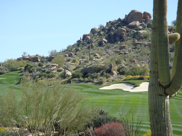What Is a Desert Golf Course? (And Considerations When Playing One)