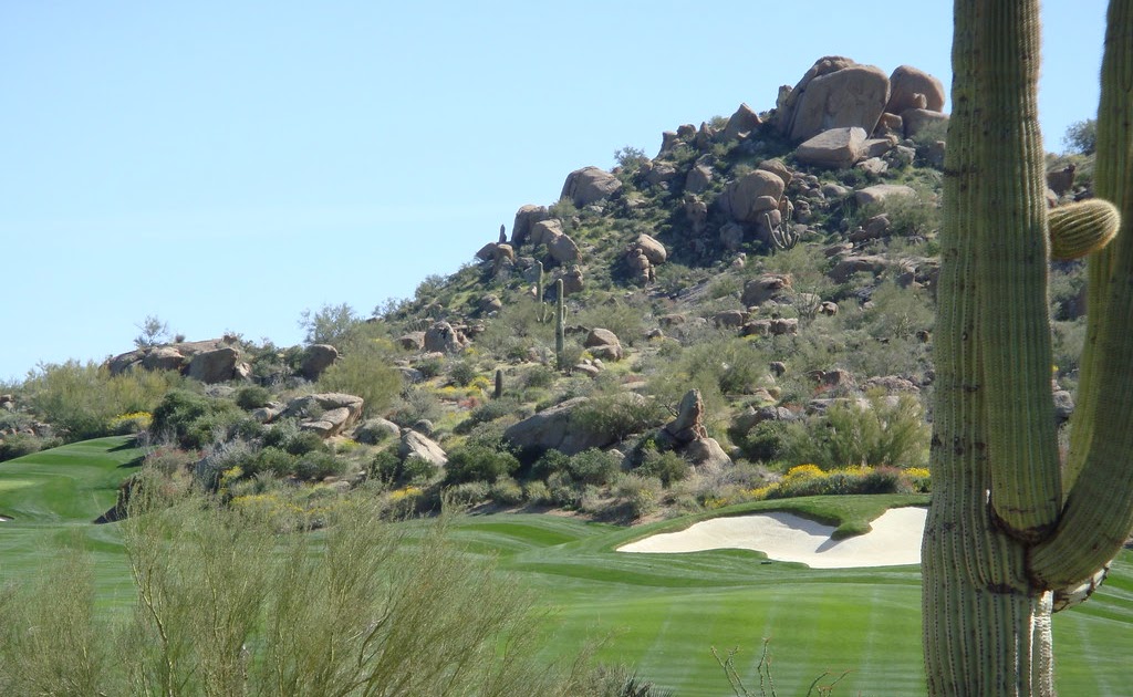What Is a Desert Golf Course? (And Considerations When Playing One)