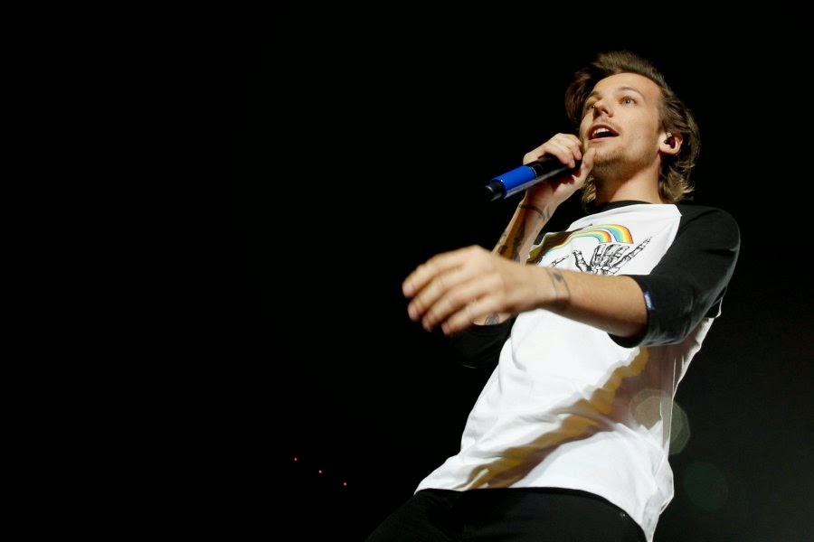 One Direction Girls ♥: Concierto en Santiago de Chile.-Where We Are ...