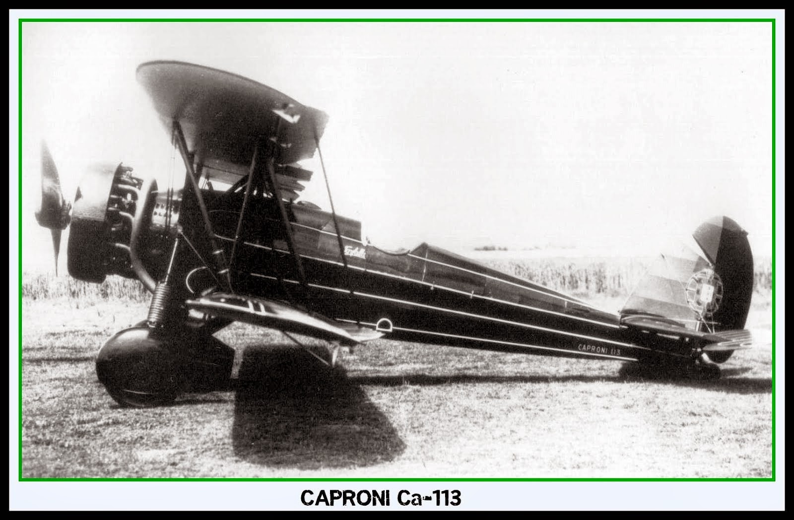 Altimagem: Caproni Ca-113