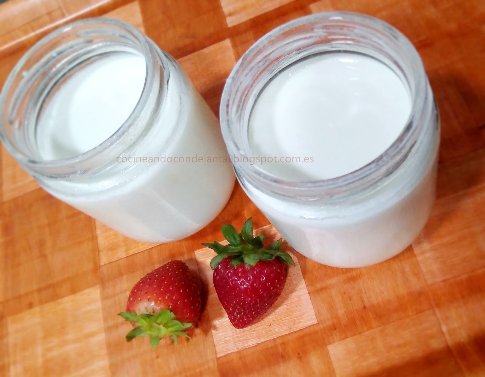 YOGURES CASEROS (ELABORADOS CON YOGURTERA)