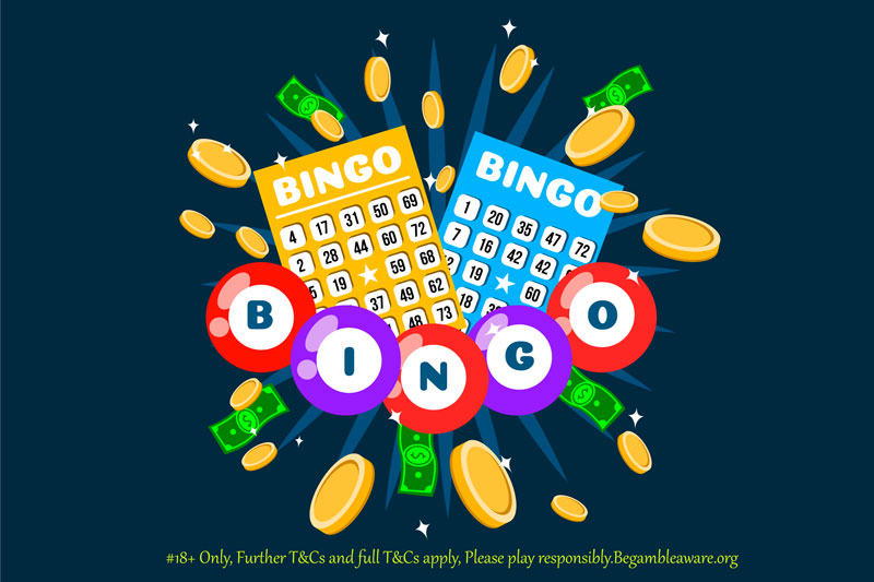 Free Best New Bingo Sites UK 2020 for Best Offers
