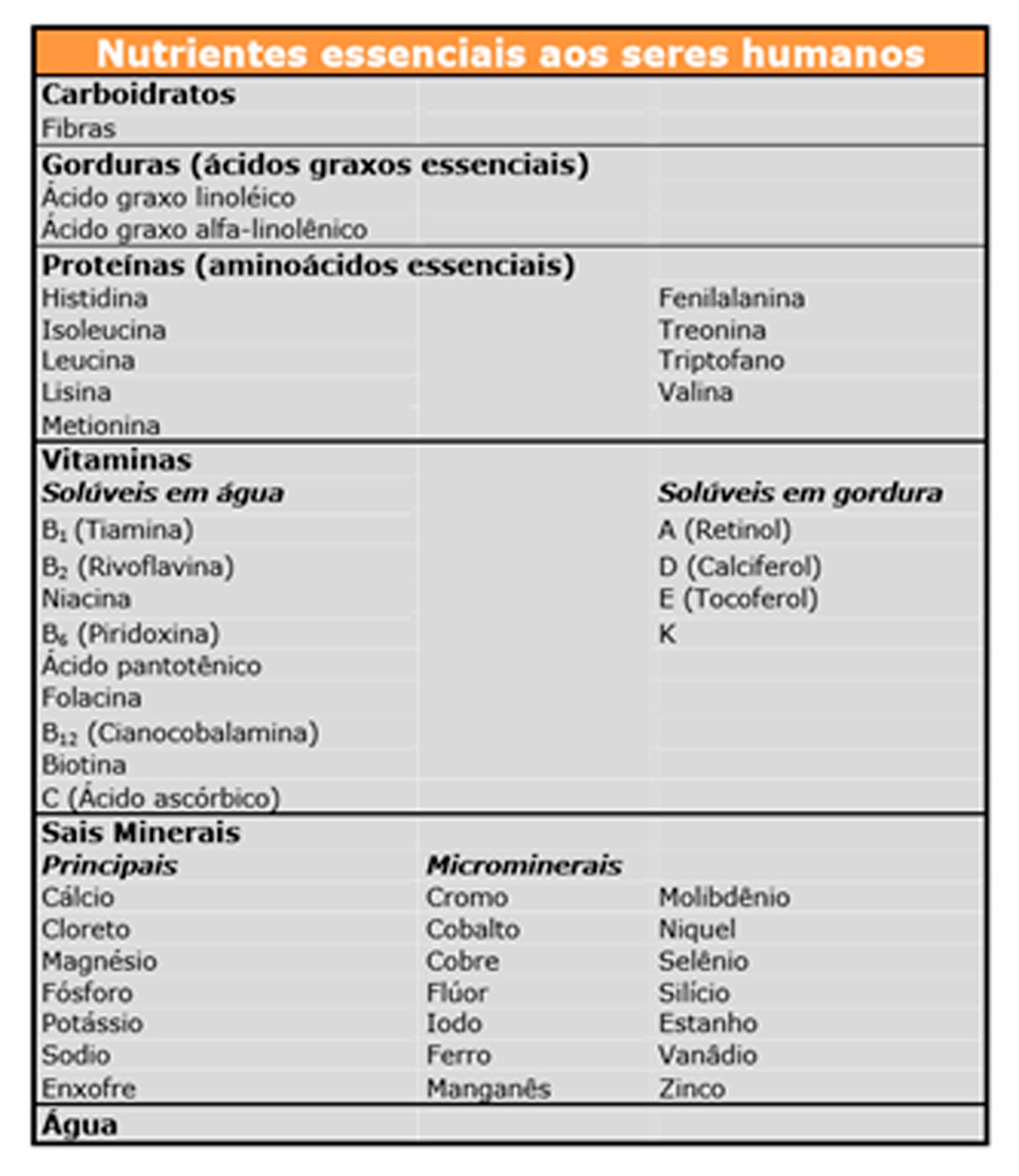 Saúde e bem estar: Princípios básicos da nutrição