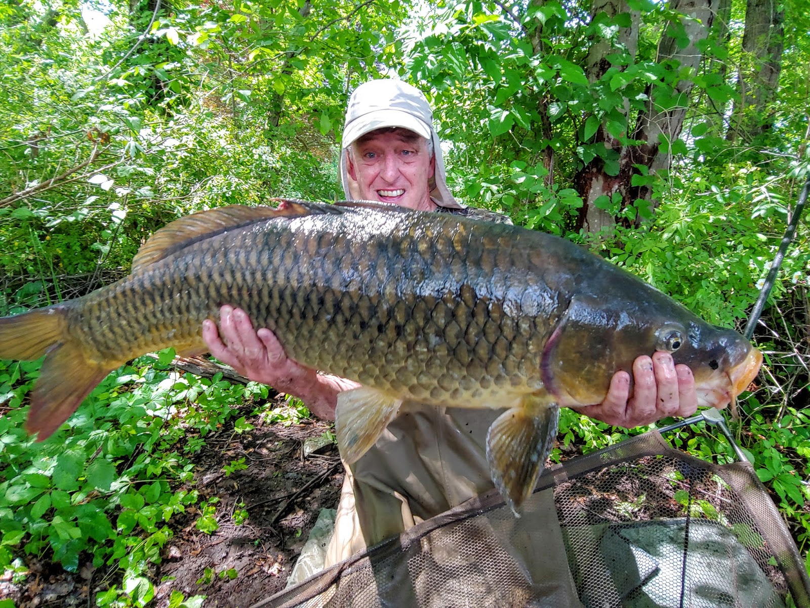 Rhode Island Carp Fishing: The Unthinkable Happens....RI 40 lb. Carp!