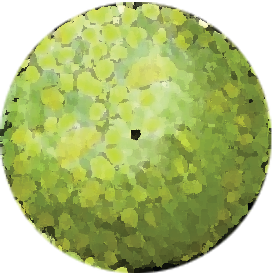 Architecture School Tips: Site Plan - TREES | Tree plan, How to plan ...