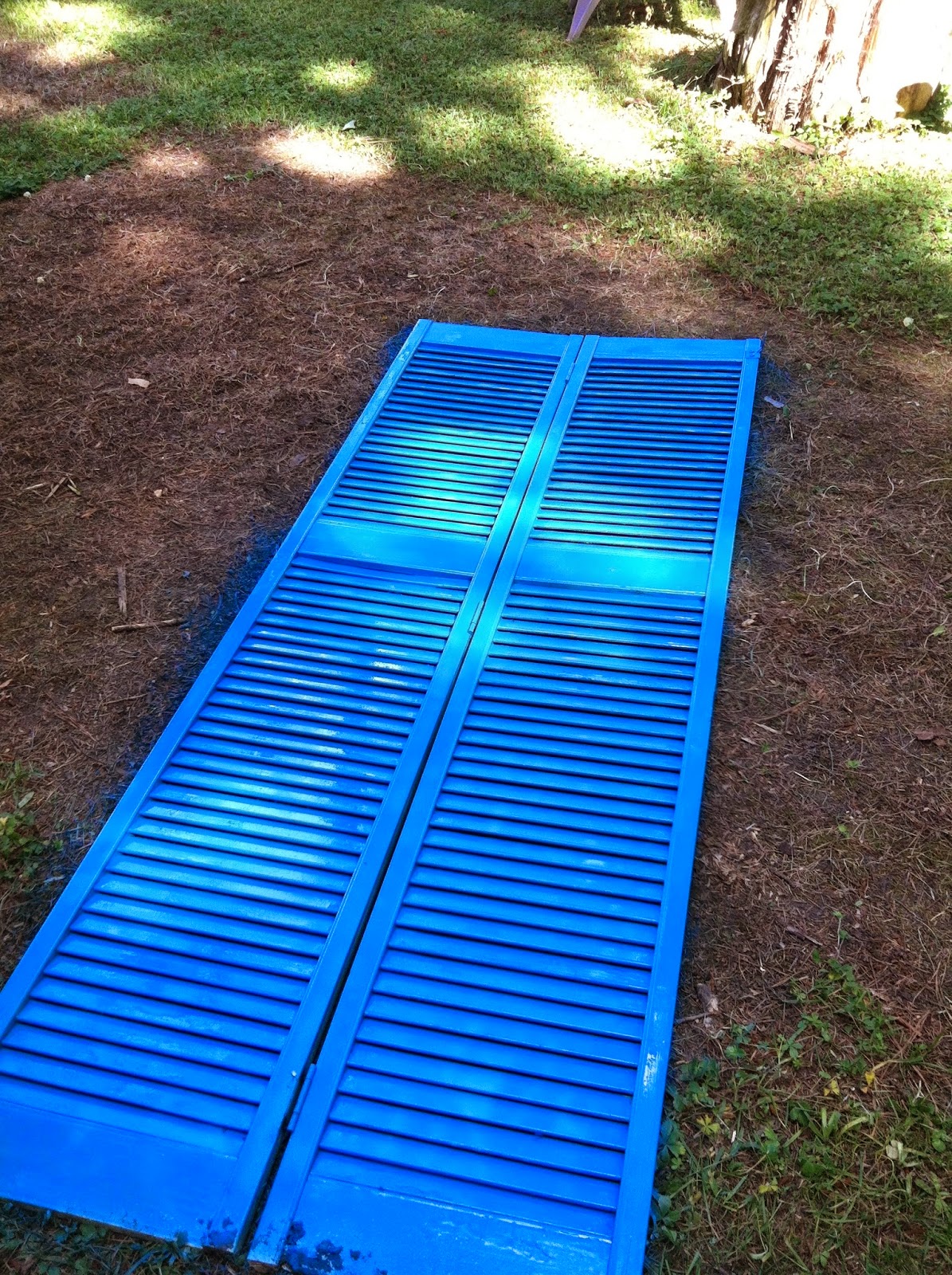 Visions of Virginia: The Planter Project