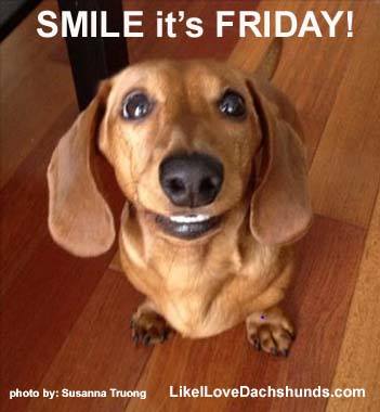 The Dachshund Escapades: HAPPY FRIDAY, DOXIE LOVERS