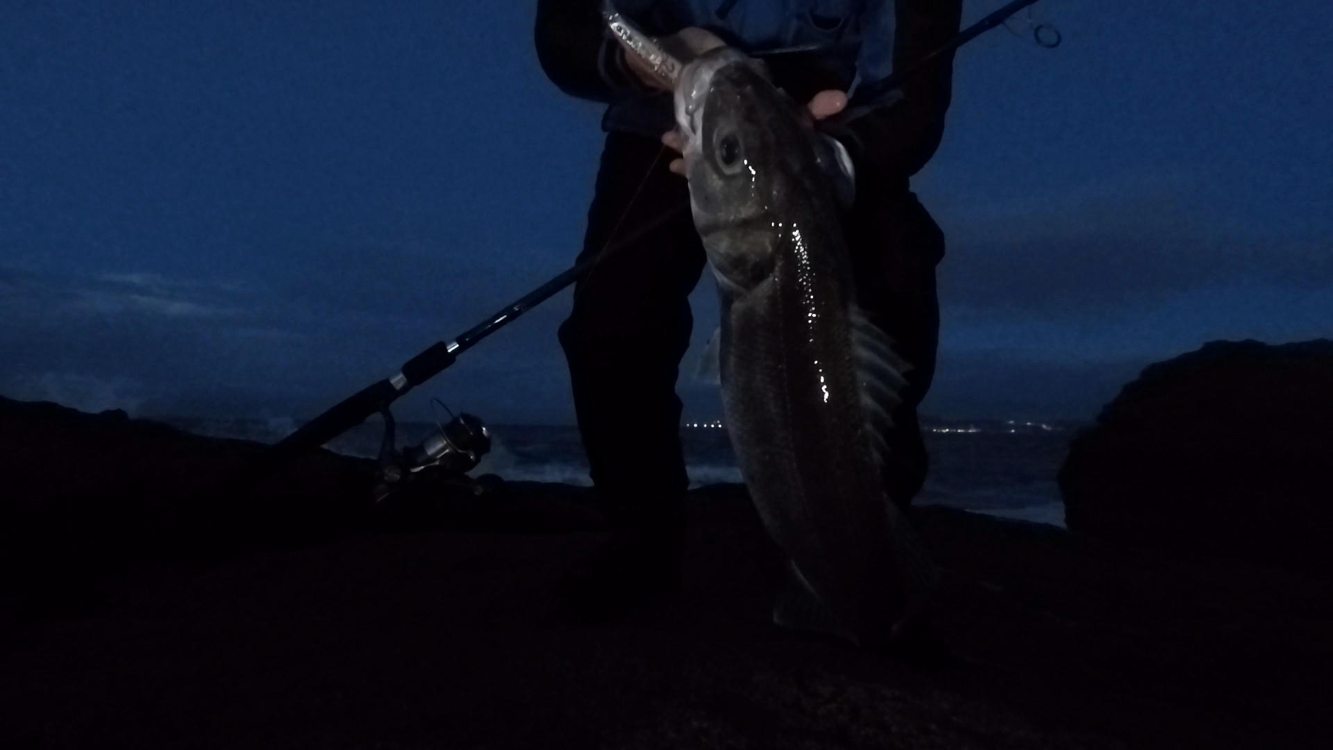 solorobalizas: Robalo capturado con Mesías 165F de 44,3 gr. color Rosicler