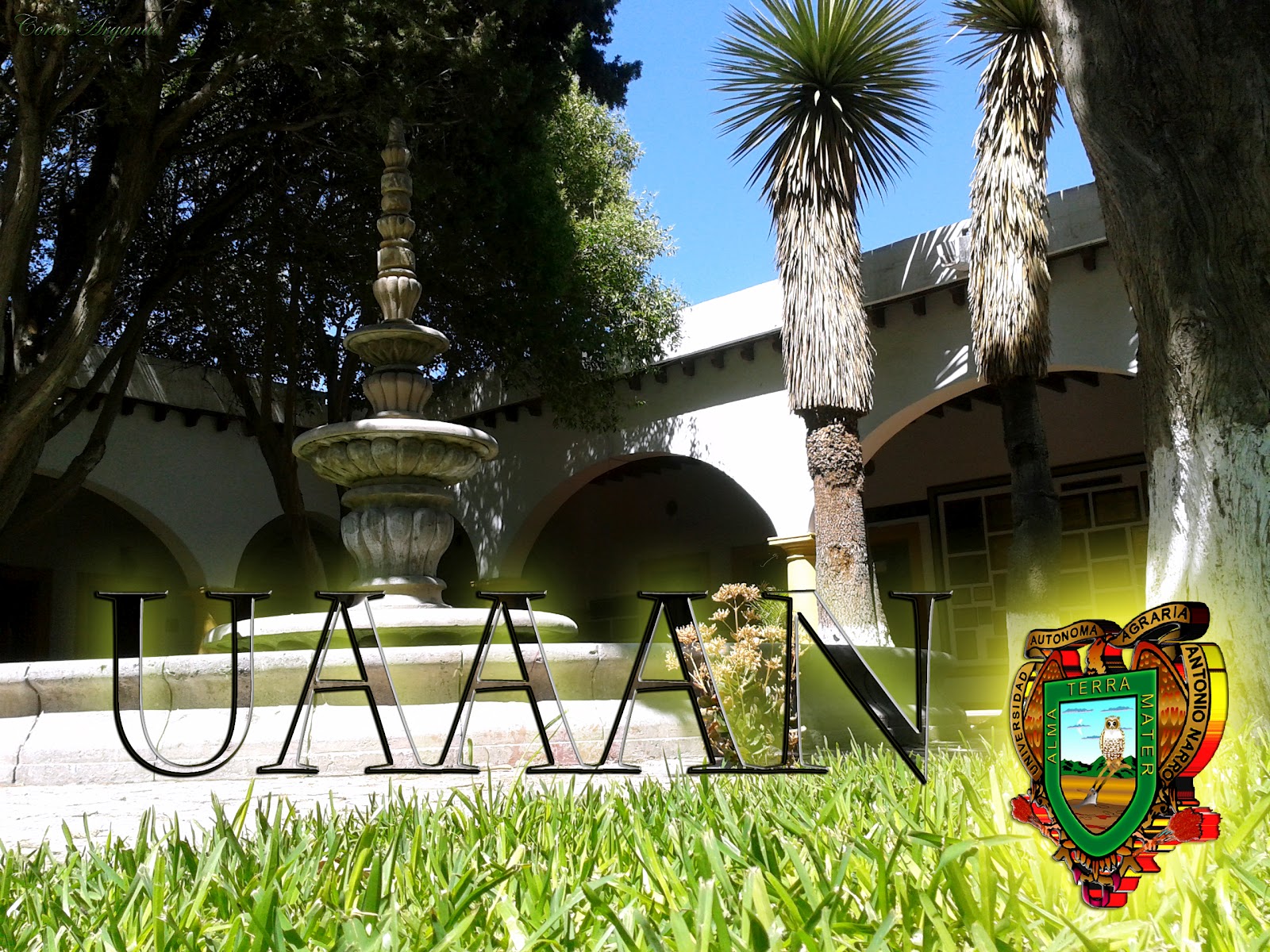 De donde seran mamá?: UAAAN