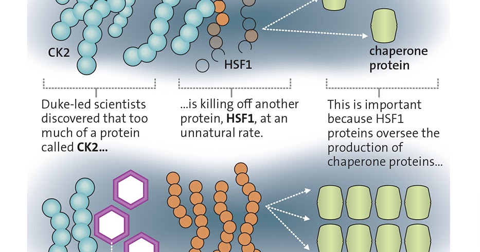 Our Parkinson's Place: Cellular quality control process could be ...