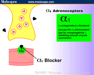 Blood, Heart and Circulation: Blood Pressure Medicines