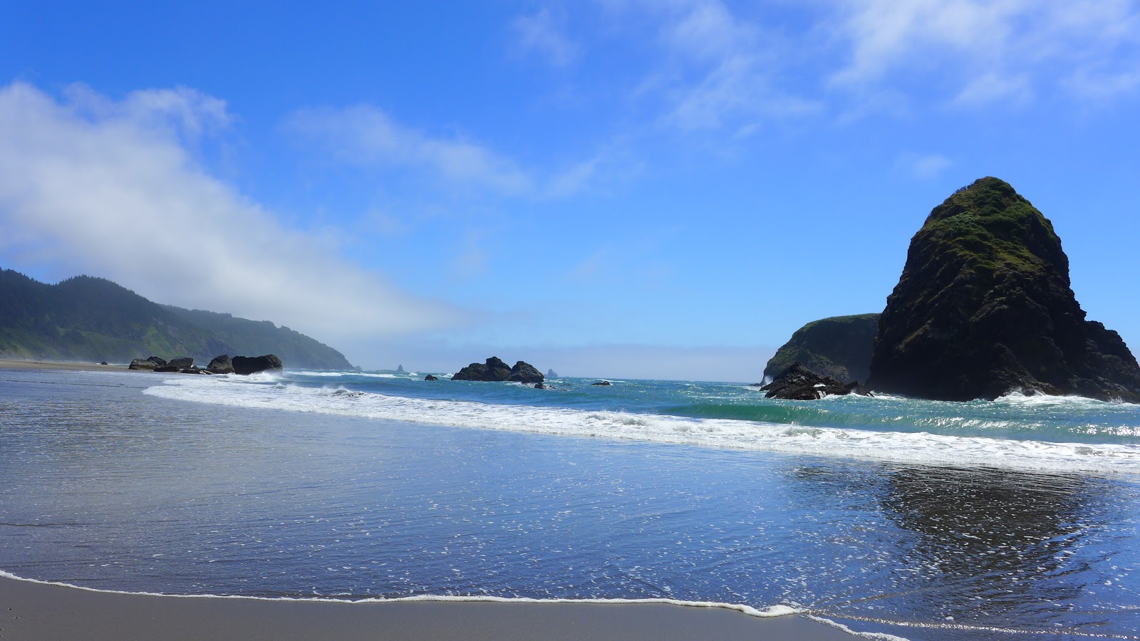 Glenn & Carol's Hiking Adventures: Oregon Coast Trail: Whalehead Beach ...