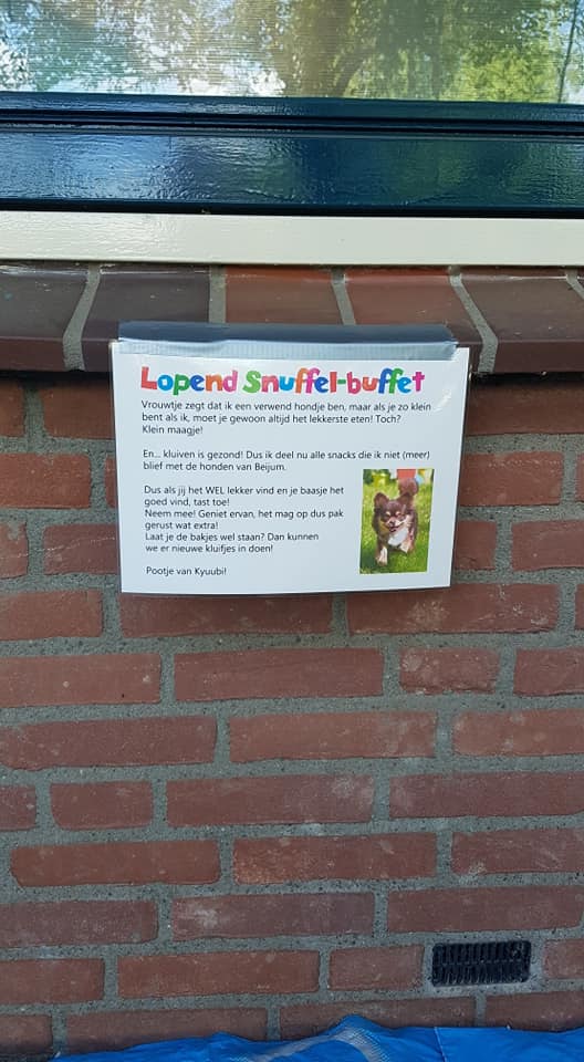 BEIJUMNIEUWS: EEN LOPEND BUFFET VOOR HONDEN