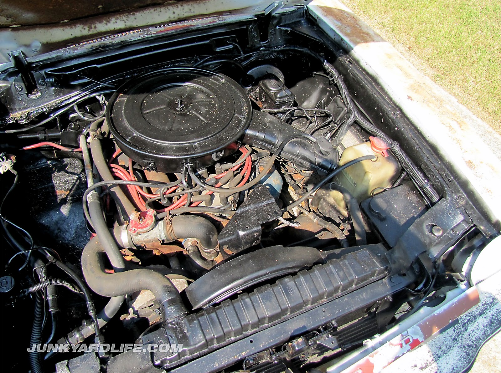 Junkyard Life: Classic Cars, Muscle Cars, Barn finds, Hot rods and part ...