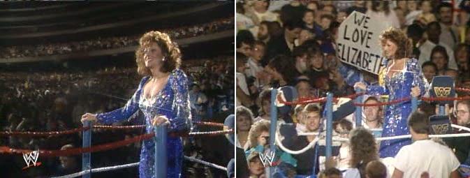 Wrestlemania para siempre: Wrestlemania VI