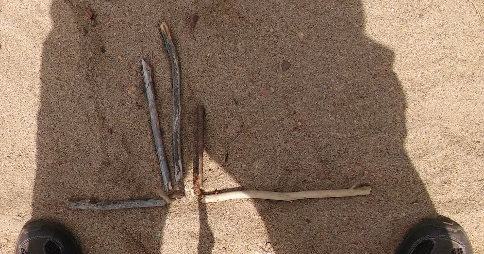 The Woodsman's Journal Online: How To Find Your Way Without A Compass ...