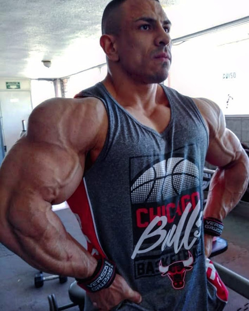 Muscle Lover: September muscle mix 2020