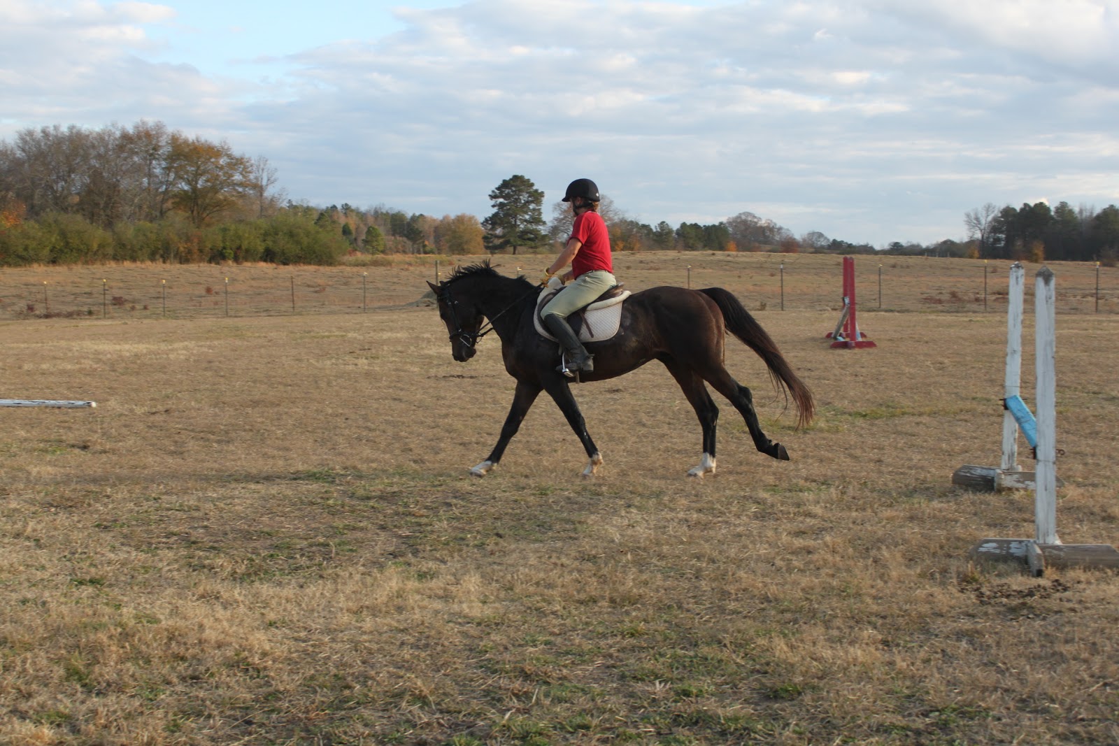 Springstone Horses: Suppleness - Using a Jumping Exercise to Improve ...