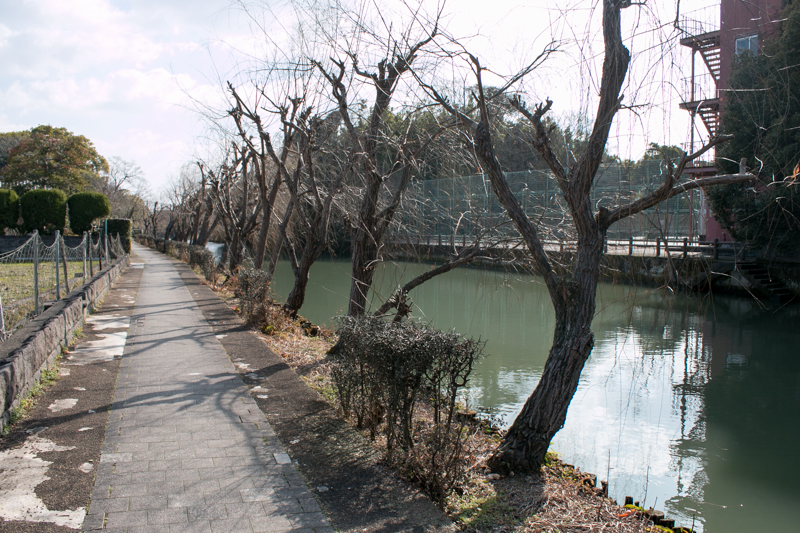 Yanagawa Castle -Revival of general of braveness and honesty- | Japan ...