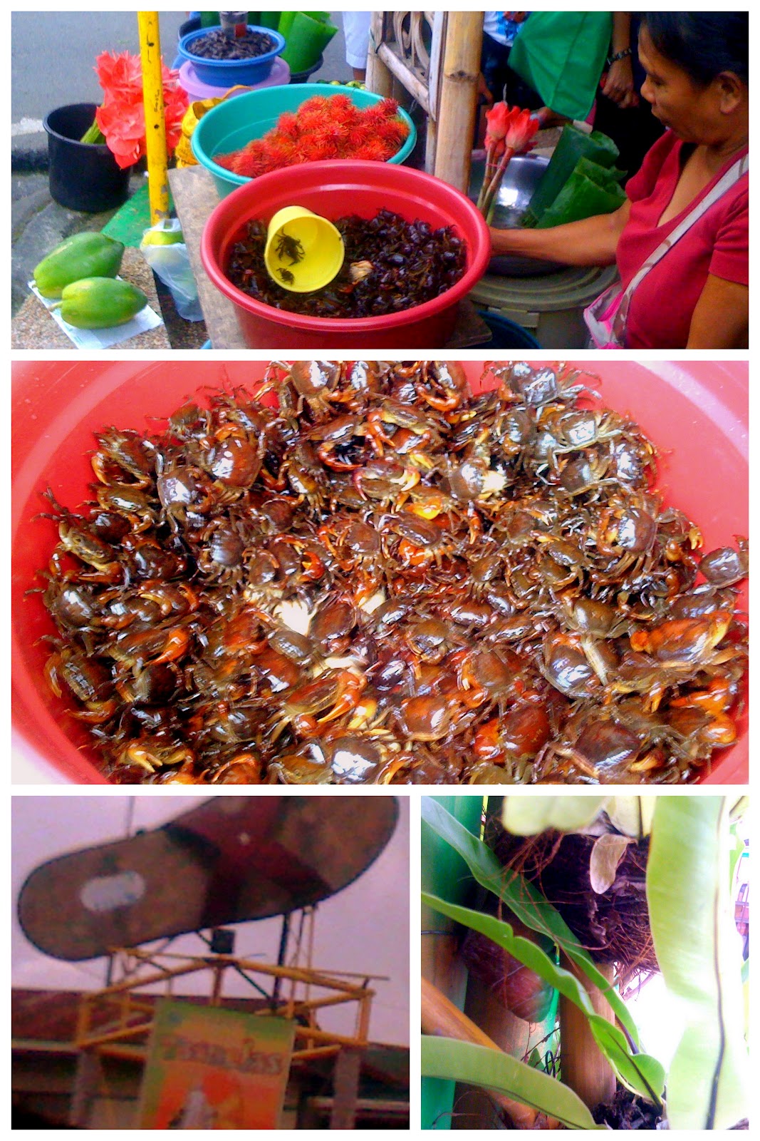 Celebrating LIFE: Weekend at Liliw, Laguna