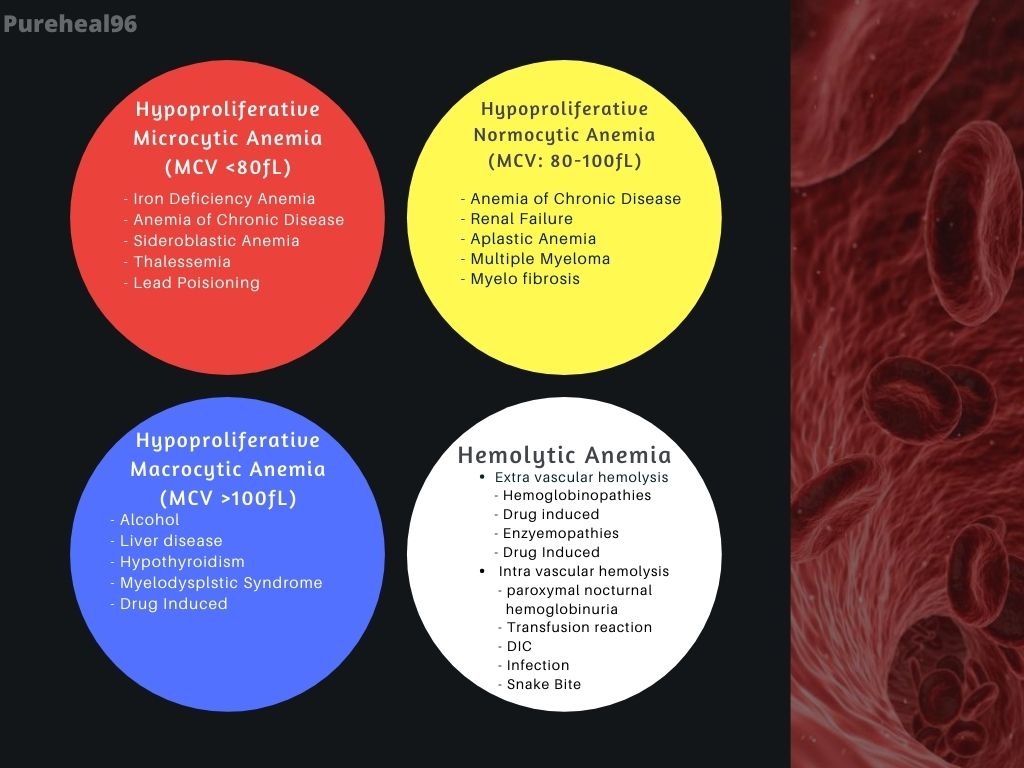 Anemia ~ Pureheal96