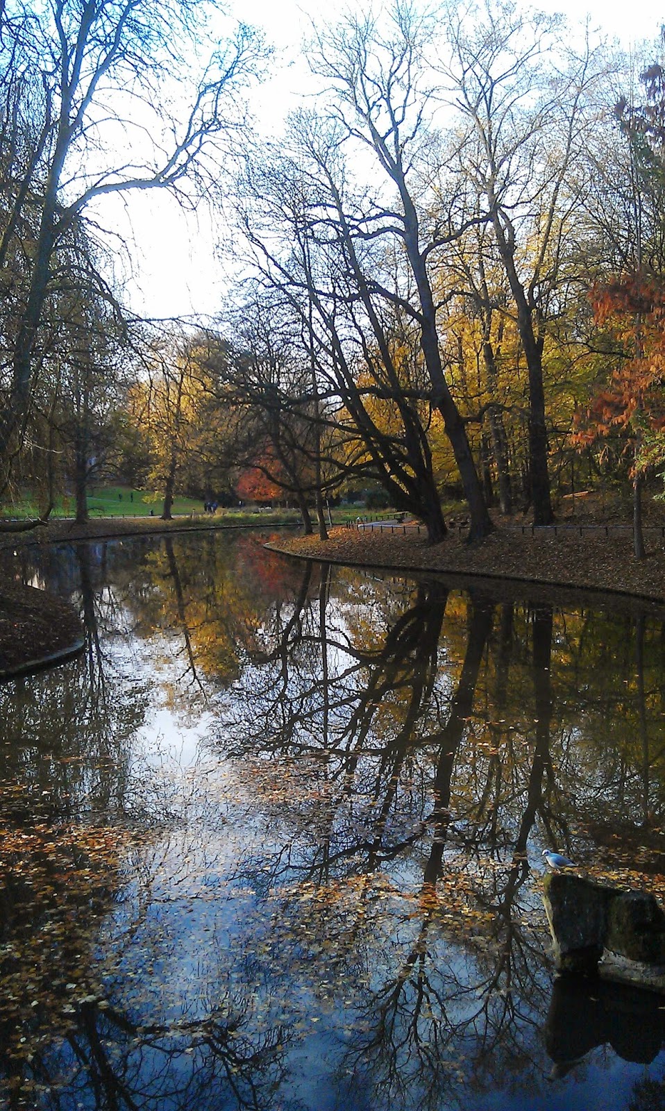 Chez Sentinelle: Photos du jour au Parc Josaphat de Schaerbeek, à Bruxelles
