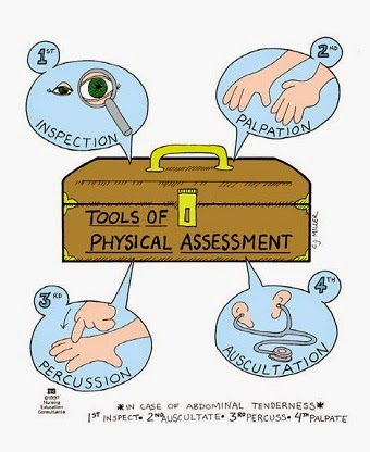 Tools On Physical Assessment ~ Nurses Notes