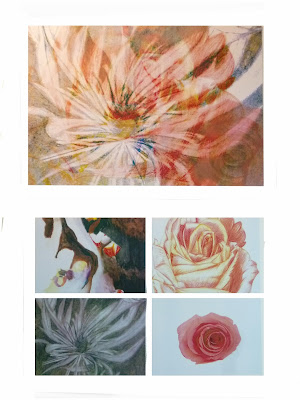 Shawn Kwan A-Level Art & Design and Ceramics: Portfolio Interview