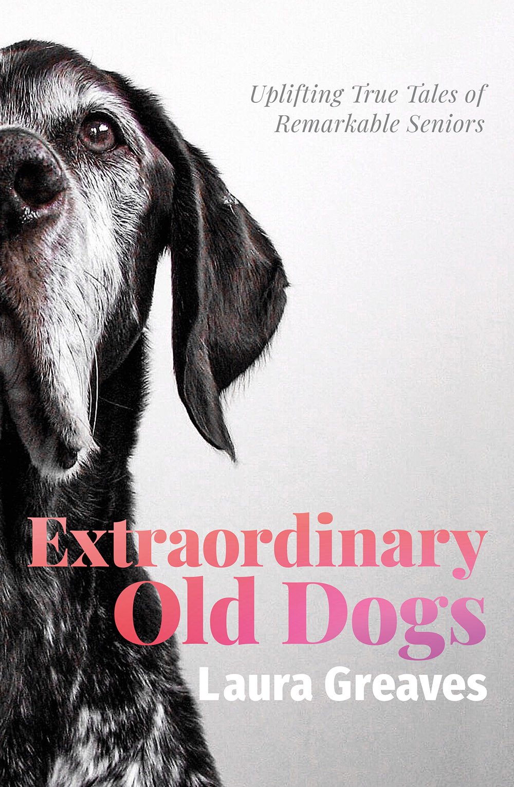 Win 1 of 3 copies of Extraordinary Old Dogs by Laura Greaves ...