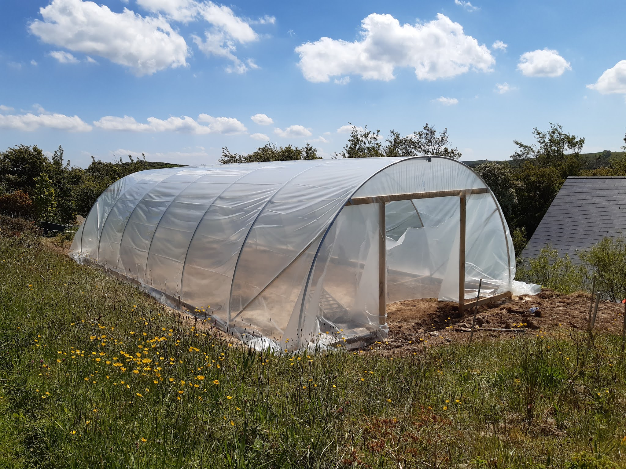 Viticulture in Ireland: Polytunnel is complete