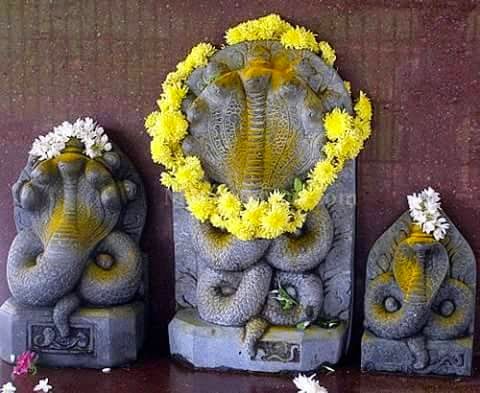 TELUGU WEB WORLD: LORD NAGENDRA SWAMY PIC