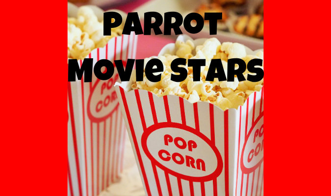 The Five Pillars of "Parrot-Hood": * Movies with Parrots