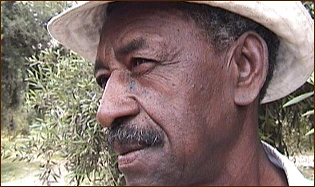 AFRICAN DESCENDANTS IN CHILE (AFRO-CHILEANS)