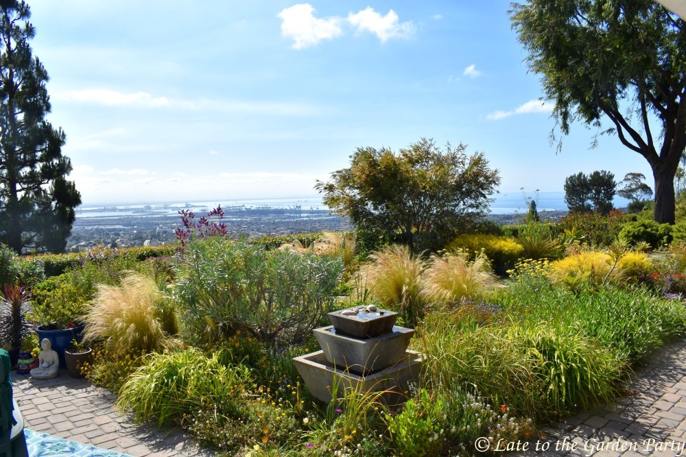 Late to the Garden Party: Stepping back in time: The evolution of the ...