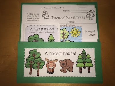 Clever Classroom Contributions!: Layers of the Forest & Forest Habitats