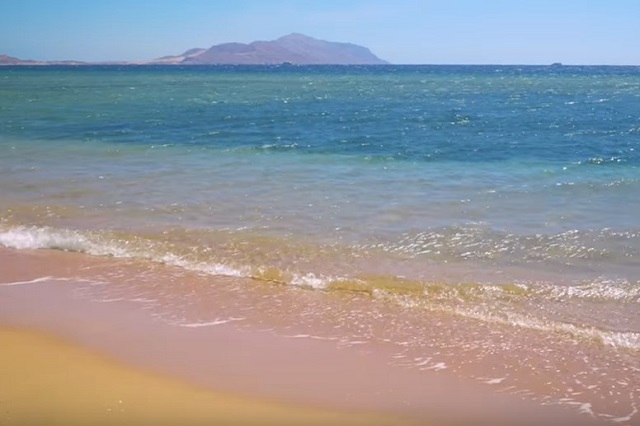 fakta tentang laut merah - Matt Terry