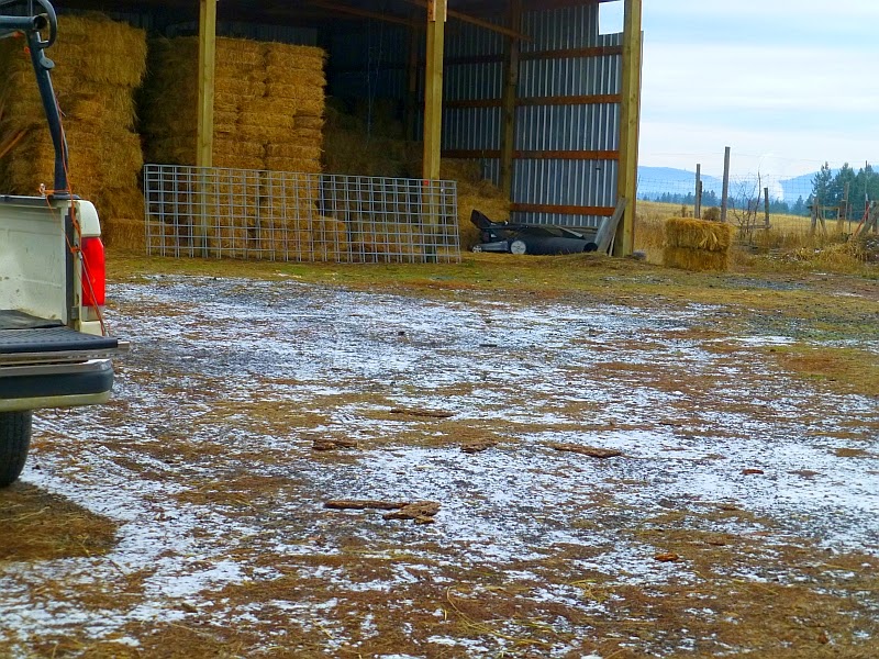 Rural Revolution: Cleaning the barn