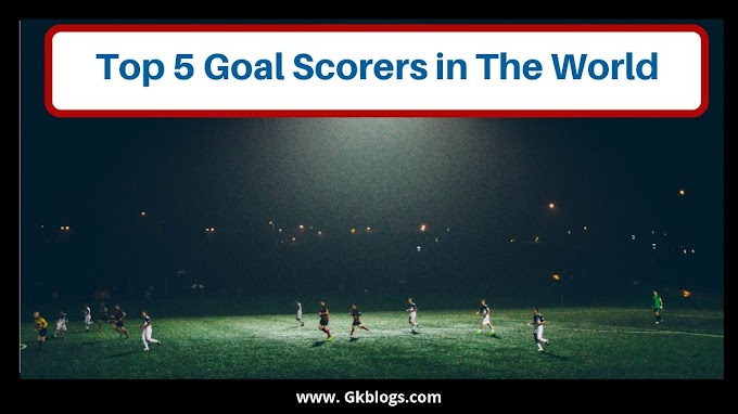 Top 5 Goal Scorers in The World