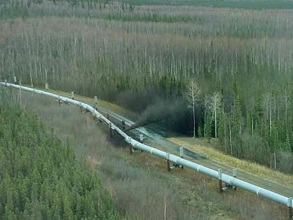 Predator Haven: ALBERTA OIL SPILLS
