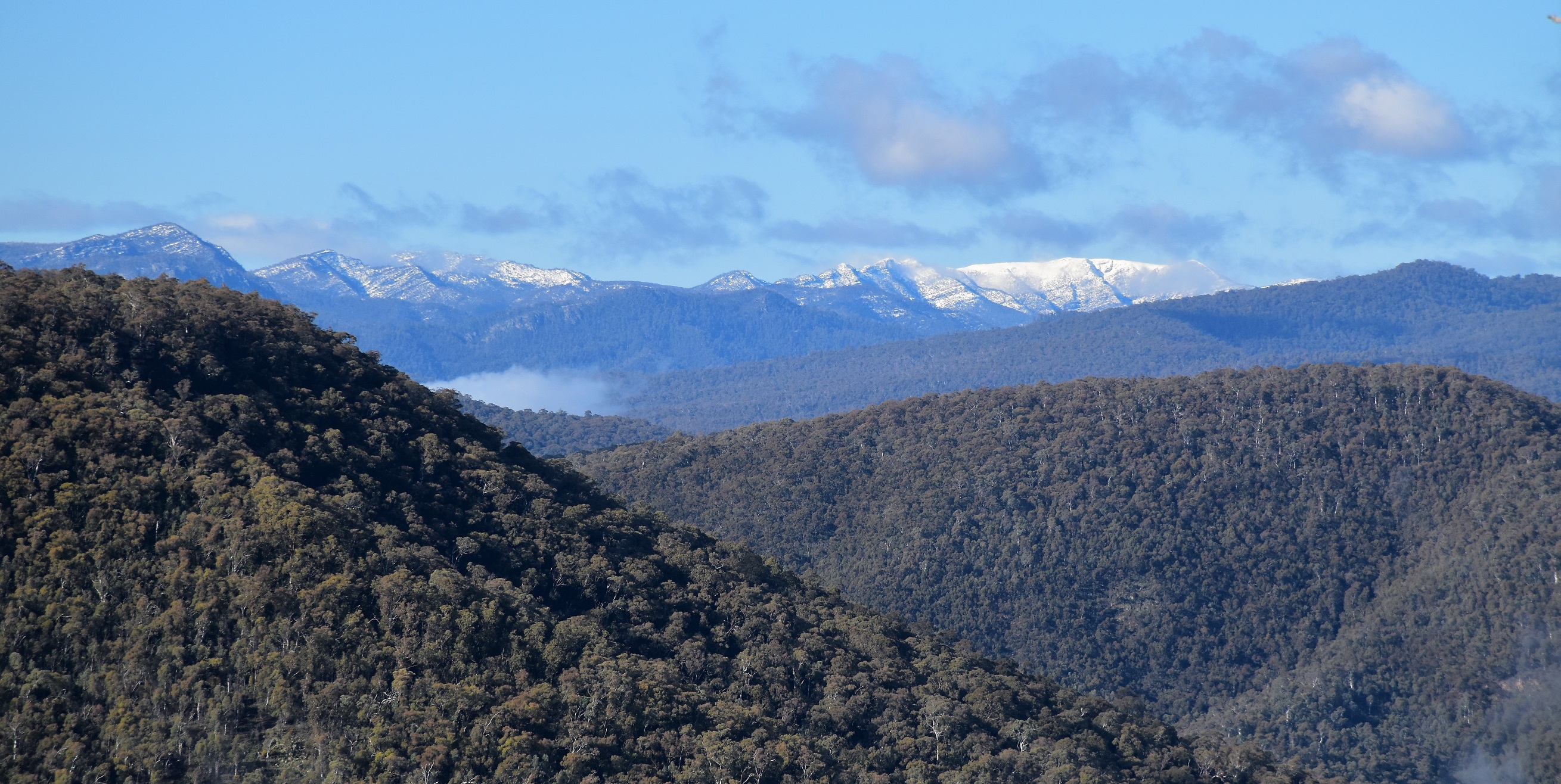 Goin' Feral One Day At A Time: Power's Lookout, Powers Lookout Scenic ...