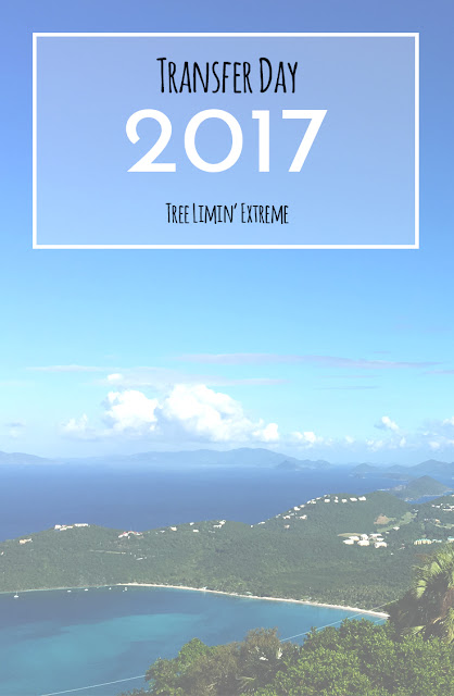 Tree Limin' Extreme: Transfer Day 2017