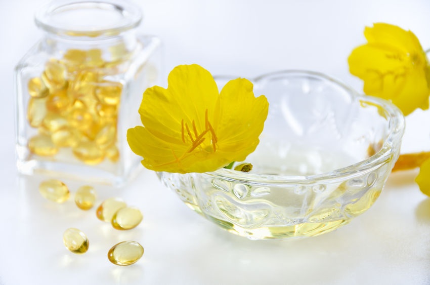 The Herb Hound: EVENING PRIMROSE