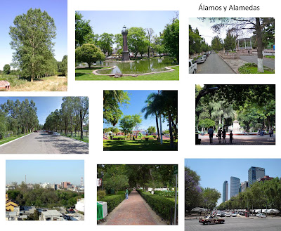 ECOBLOG-MX