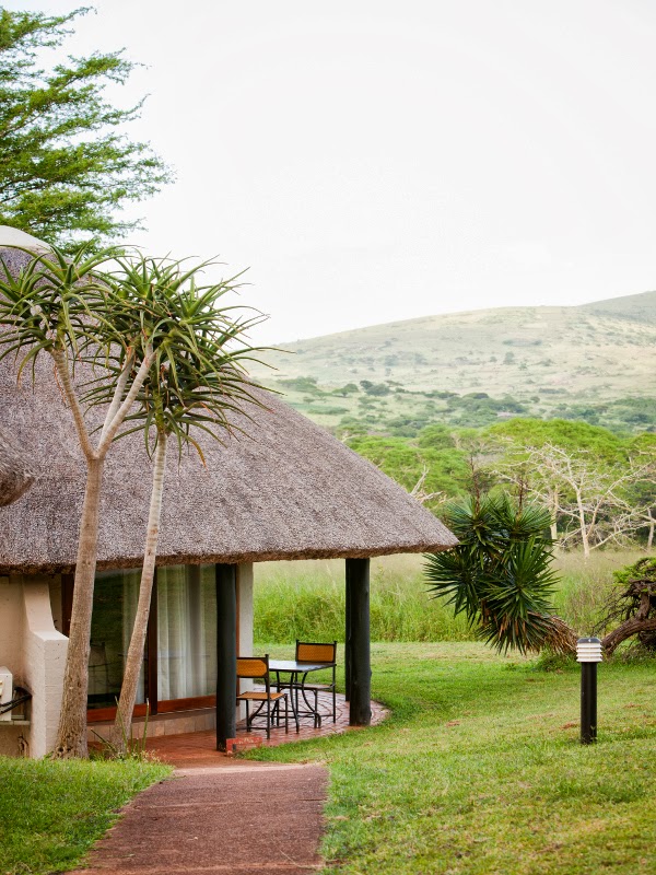 Ubizane Wildlife Reserve: A Walk Down Safari Lodge Memory Lane...