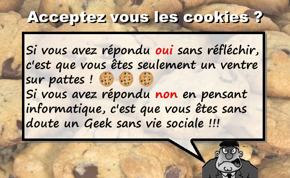 Le droit de râler: La CNIL vous recommande d'accepter les cookies pour ...