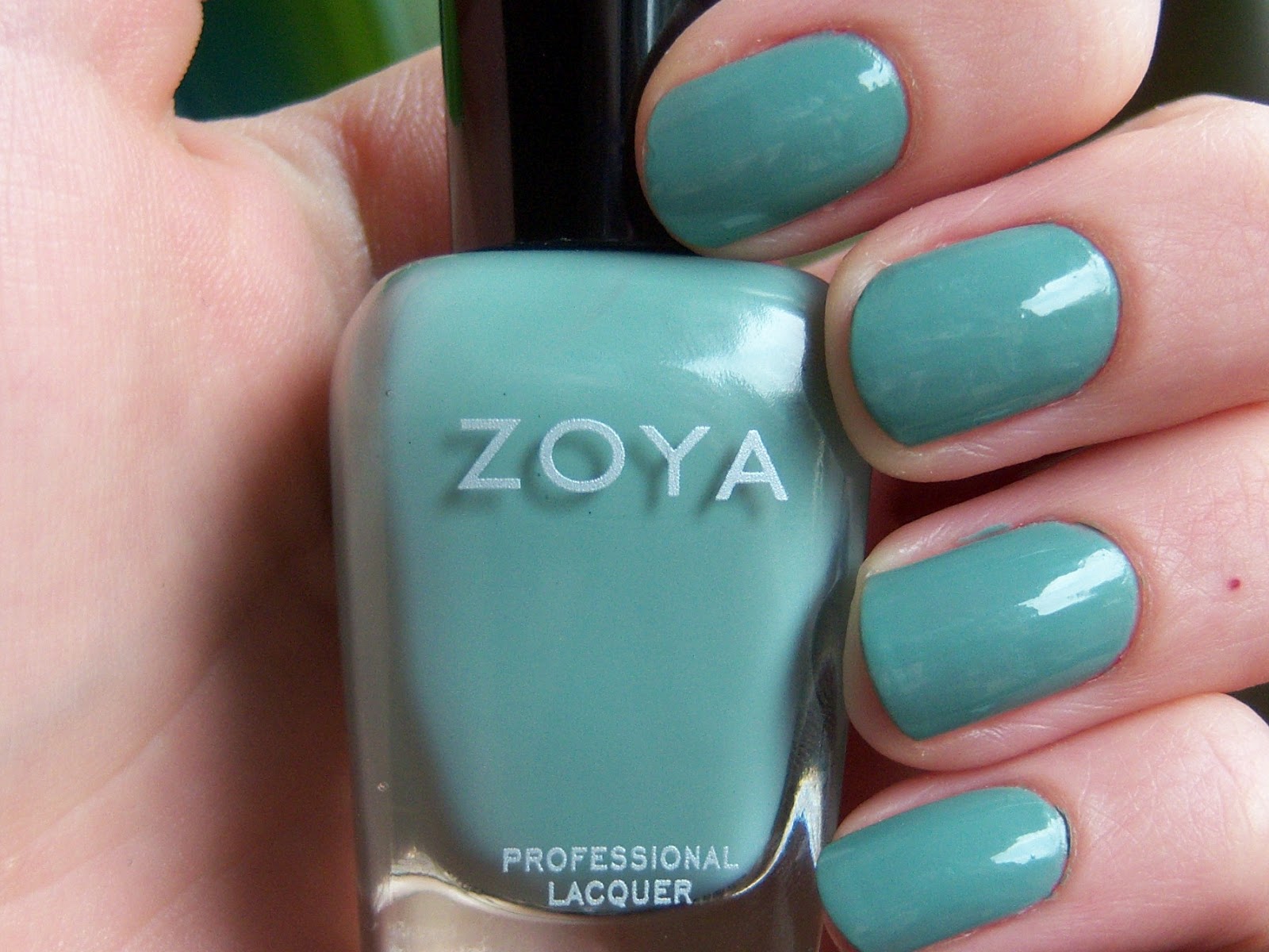 Shadow and Shimmer: Zoya Bevin Swatch